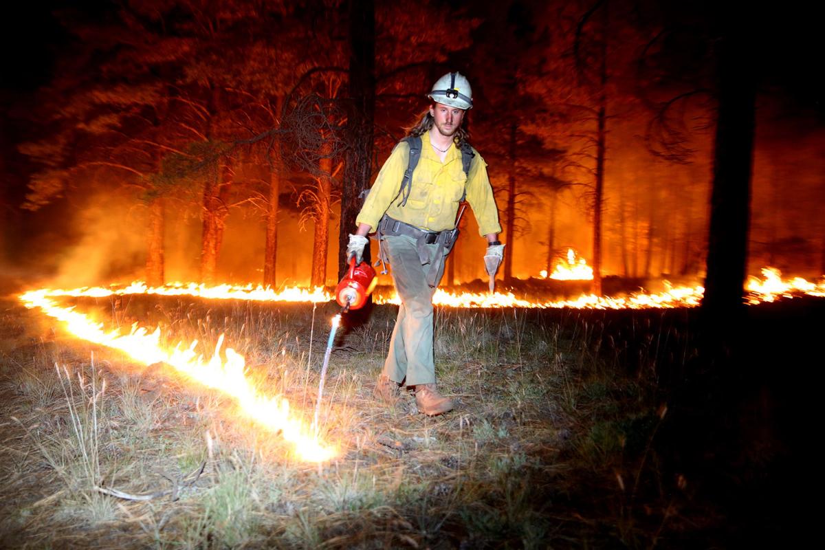Life behind the wildfire line near Flagstaff | Local | azdailysun.com