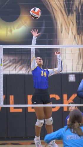 Local teams wrap up volleyball tournament | Sports | baycitytribune.com