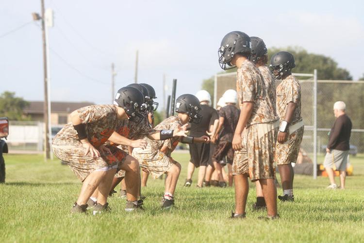 Van Vleck hopes to make playoffs in 2017 | Sports | baycitytribune.com