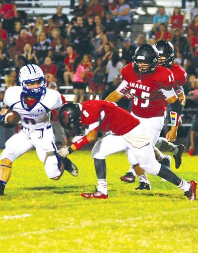 Several Sharks earn postseason honors for 2014 | Sports ...