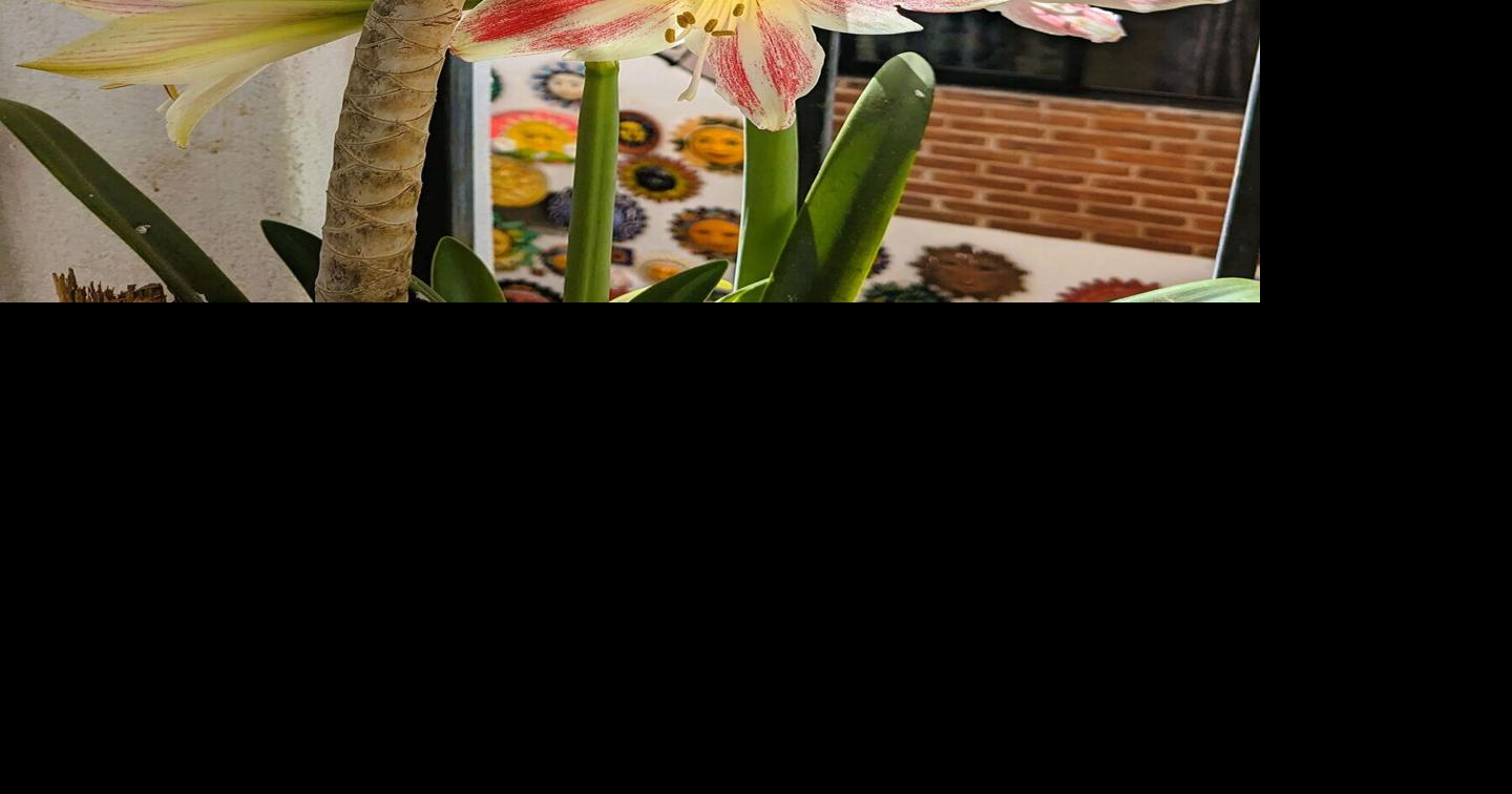 The Post Script: Pondering what ‘perfect’ means | Lifestyles ...