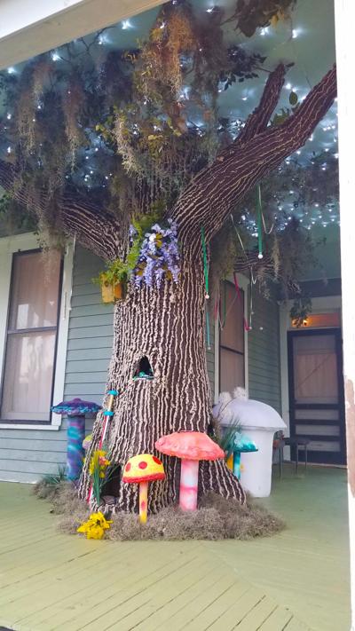 Tree of Life interactive exhibit huge success | Community ...