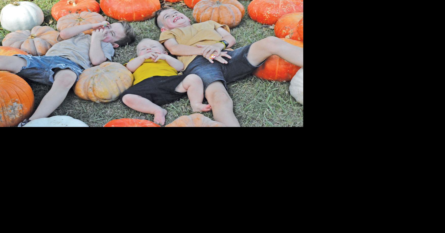 PUMPKIN PICKIN' | Gallery | baycitytribune.com
