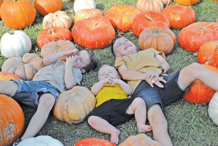 PUMPKIN PICKIN' | Gallery | baycitytribune.com