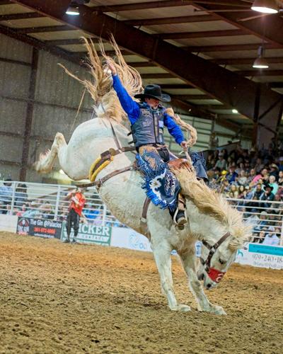 Professional Cowboys rile up the crowd at Ruby Red Rodeo | Gallery ...