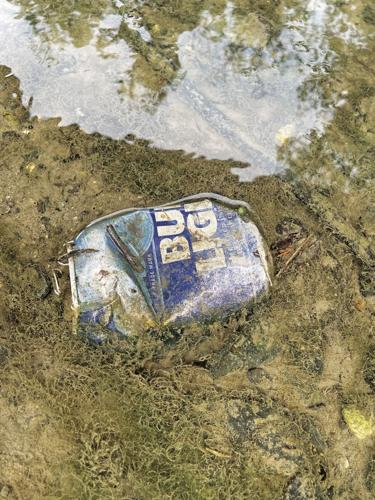 How well does Bay City recycle, and where does it go? | News ...