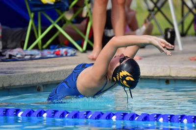 Bay City Aquacats perform well at home meet | Sports | baycitytribune.com