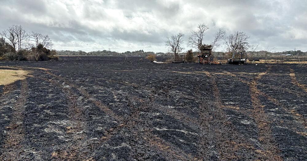 Controlled burn escapes containment, scorches 60 acres of land | News ...