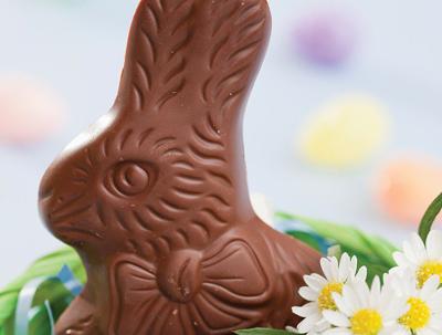 What's the best way to eat a chocolate bunny | | baycitytribune.com