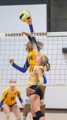 Sophomore star powers Bay City past Danbury | Sports | baycitytribune.com