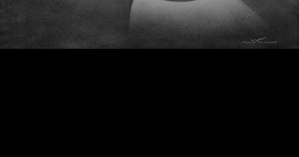 Socorro Solis | Obituaries | baycitytribune.com