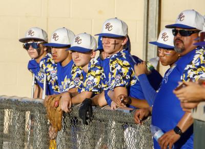 Senior league all-stars year ends at sectionals | Sports ...