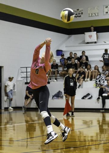 Van Vleck Lady Leps overwhelms Danbury Panthers | Sports ...