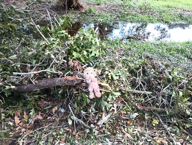 Beryl storm damage | Gallery | baycitytribune.com