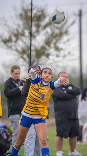 Ladycats show skill, growth in Bay City Classic opener | Free Share ...