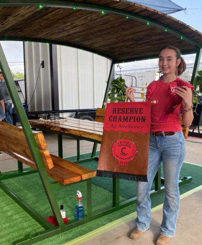 Crosby Fair & Rodeo showcases area youth | Lifestyle | baytownsun.com