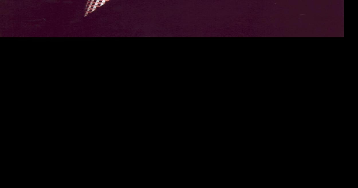 Pilot Club thanks Clara Navarre - Alzheimer’s Platinum Plus Sponsor in ...