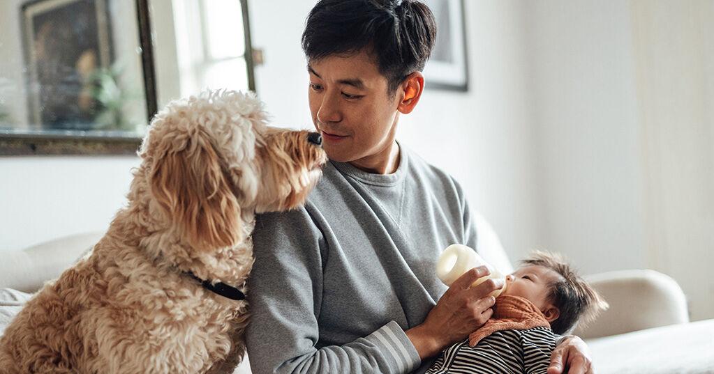 Introducing your fur baby to your new baby | Local | baytownsun.com