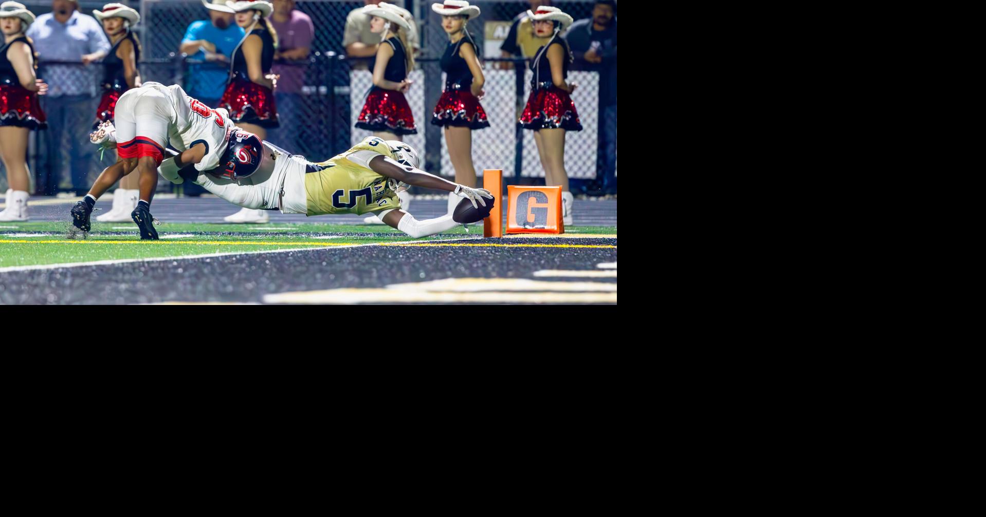 7 Panthers receive all-district honors | Sports | baytownsun.com