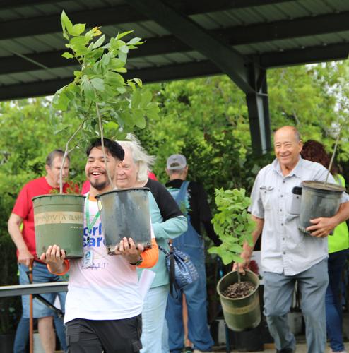 Arbor Day giveaway a tree-mendous success | News | baytownsun.com
