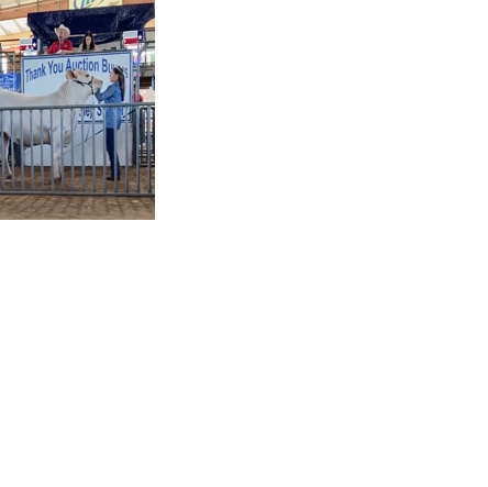 Crosby Fair & Rodeo showcases area youth | Lifestyle | baytownsun.com