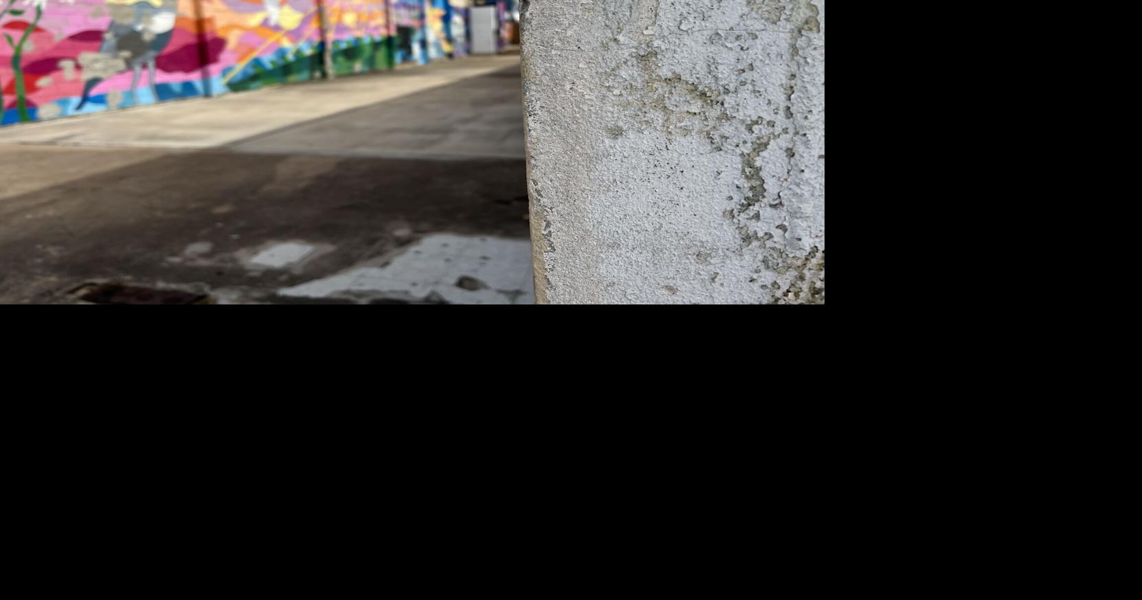 Unlocking Art Alley: Innovative Art to Fill Art Alley | News ...