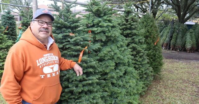 Need a Christmas tree? St. John’s sale is here | News | baytownsun.com
