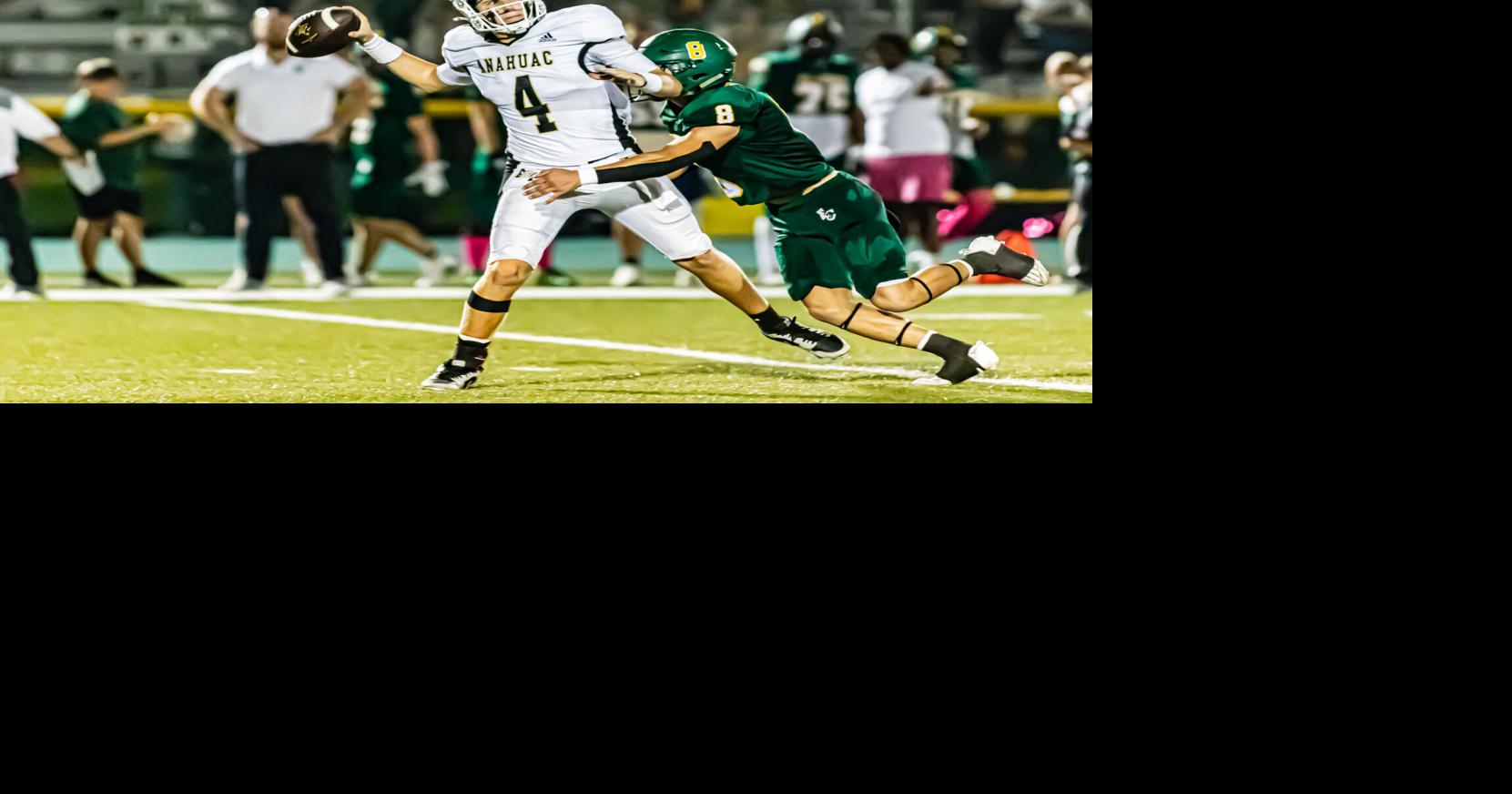 Panthers survive Swamp Bowl, Buccaneers | Sports | baytownsun.com