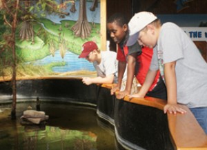Make a splash at Wetlands Center | News | baytownsun.com