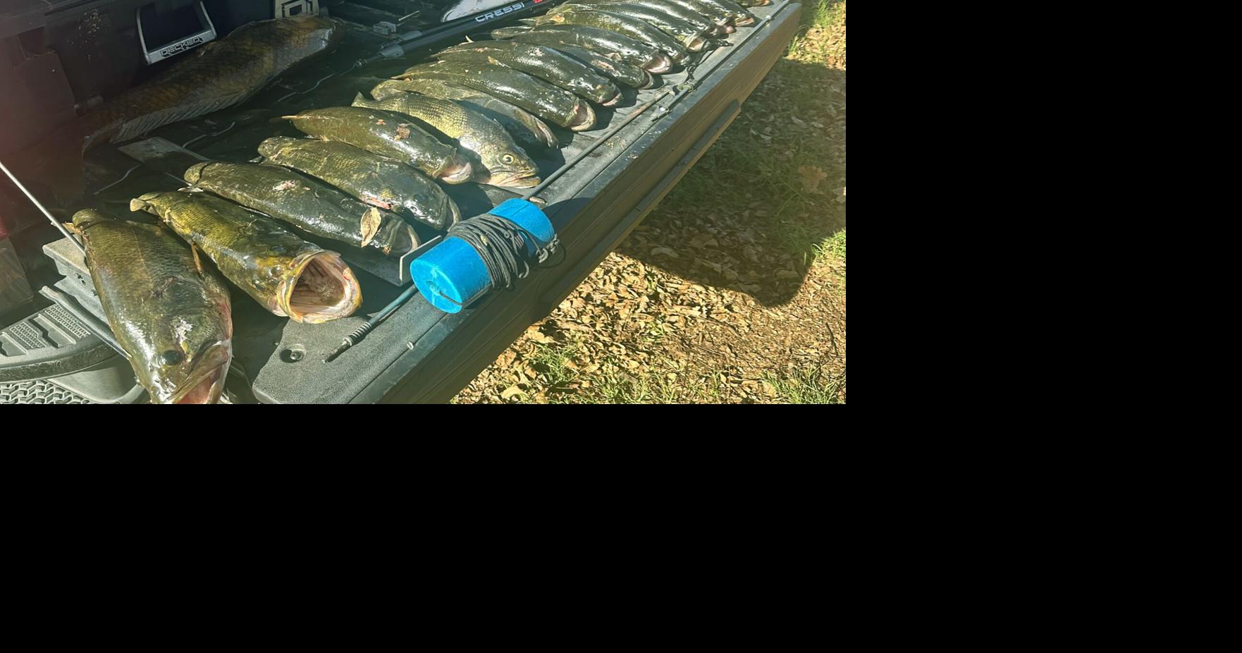 Woods, Waters and Wildlife: Unbelievable act of poaching | Outdoors ...
