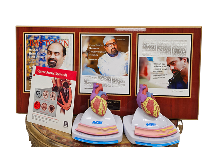 10 things you didn't know about Dr. Shehzad Sami | Local | baytownsun.com