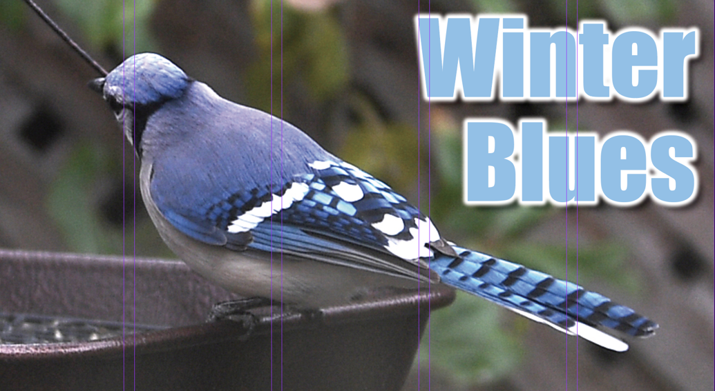 Winter Storm Fern Impact Updates: One more Hard-Freeze night, outages ...