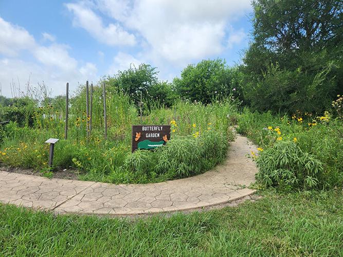 Anahuac NWF is so much more than gators | Local | baytownsun.com