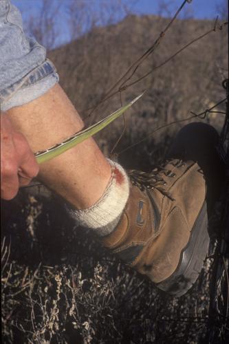 The Hazards of Hunting | Lifestyle | baytownsun.com