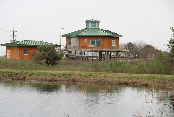 Anahuac NWF is so much more than gators | Local | baytownsun.com