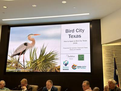 Birds fly into City of Mont Belvieu tourism plans | News | baytownsun.com