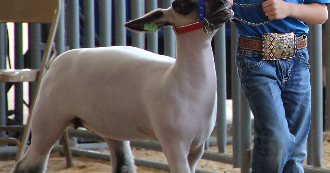 Show Time at the Crosby Fair & Rodeo | Local | baytownsun.com