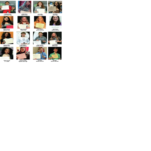 DAR awards students of character | Local | baytownsun.com