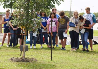 Tree planted in honor of Barbers Hill student who died in traffic ...