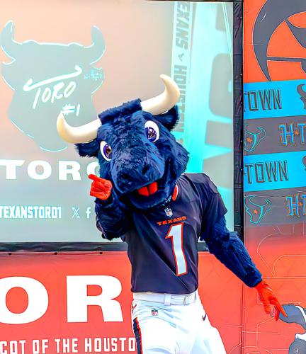 texans mascot