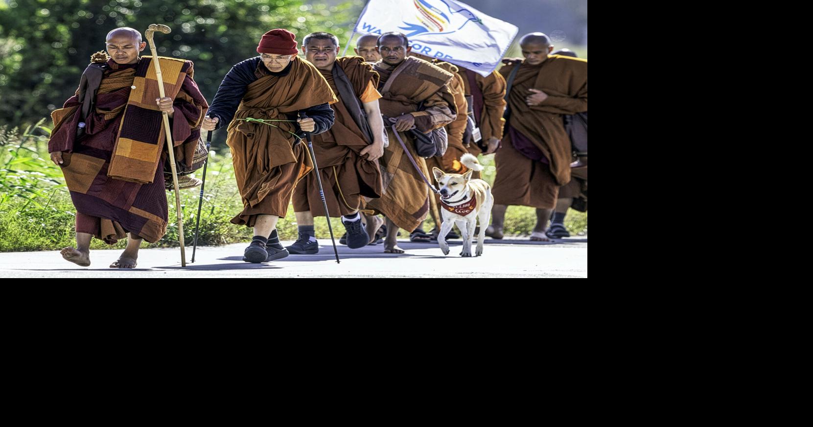 Buddhist monks injured in crash on ‘Walk for Peace’ route through ...