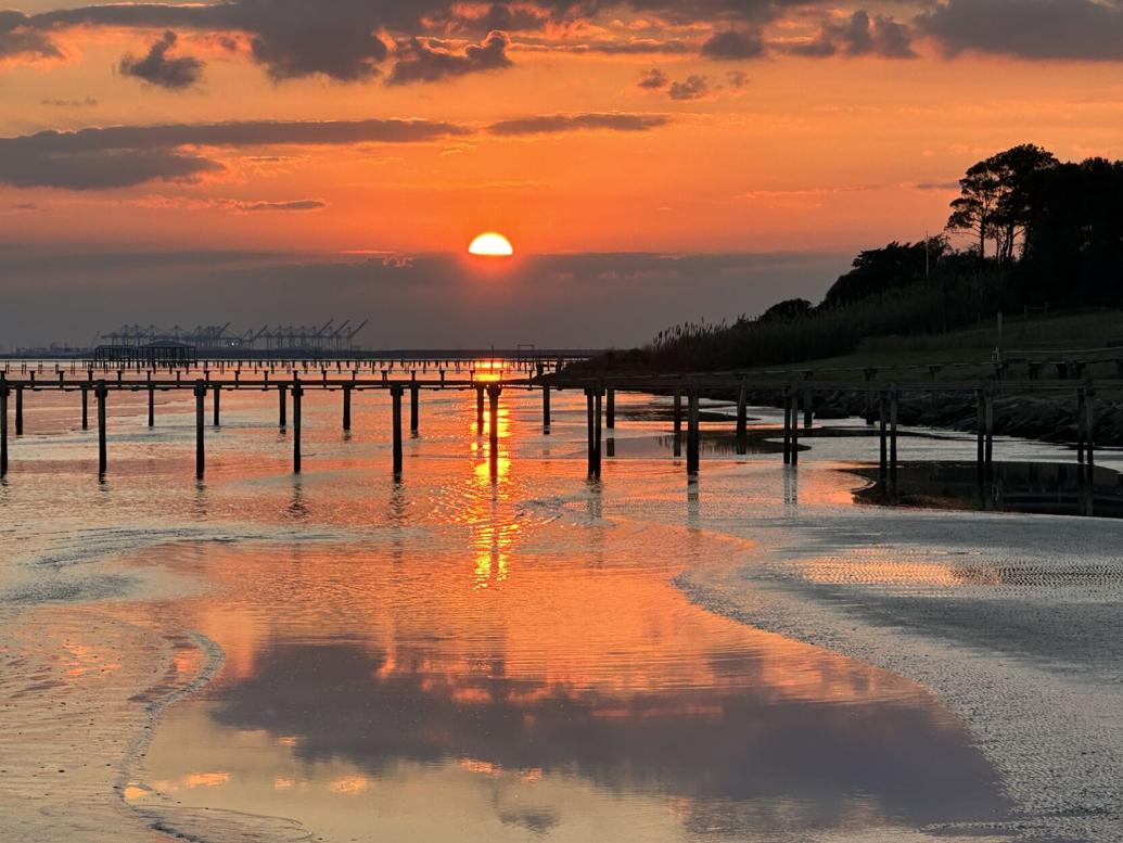 Finding beauty on Trinity Bay | Local | baytownsun.com