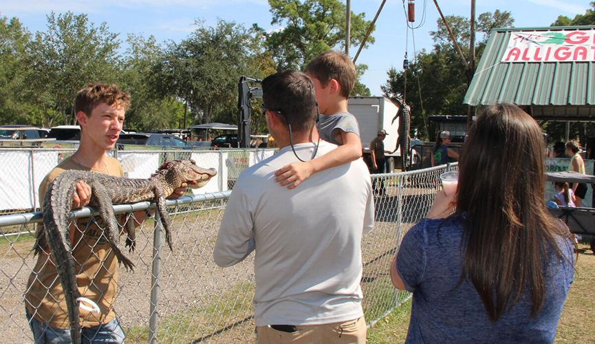 Gators Galore Texas Gatorfest Thrills Festival Goers Local