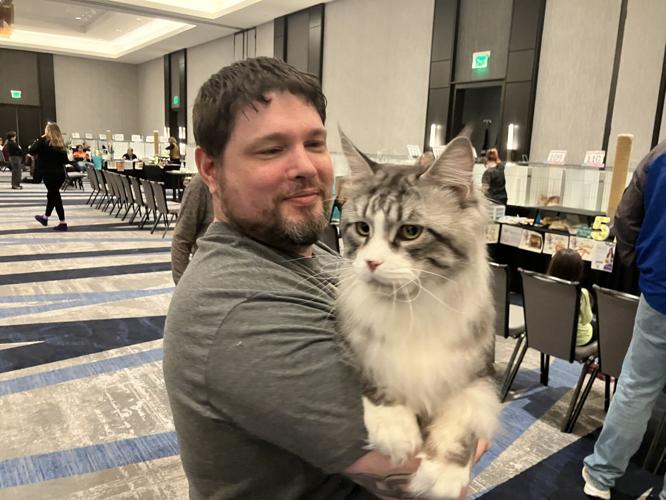 Cat fancy: Cat show goes on despite weather | News | baytownsun.com