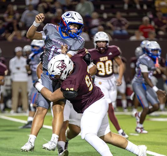 Playoff mania hits five local teams | Sports | baytownsun.com