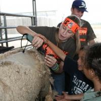 ExxonMobil sponsors Barbers Hill Ag Day | Barbers Hill | baytownsun.com