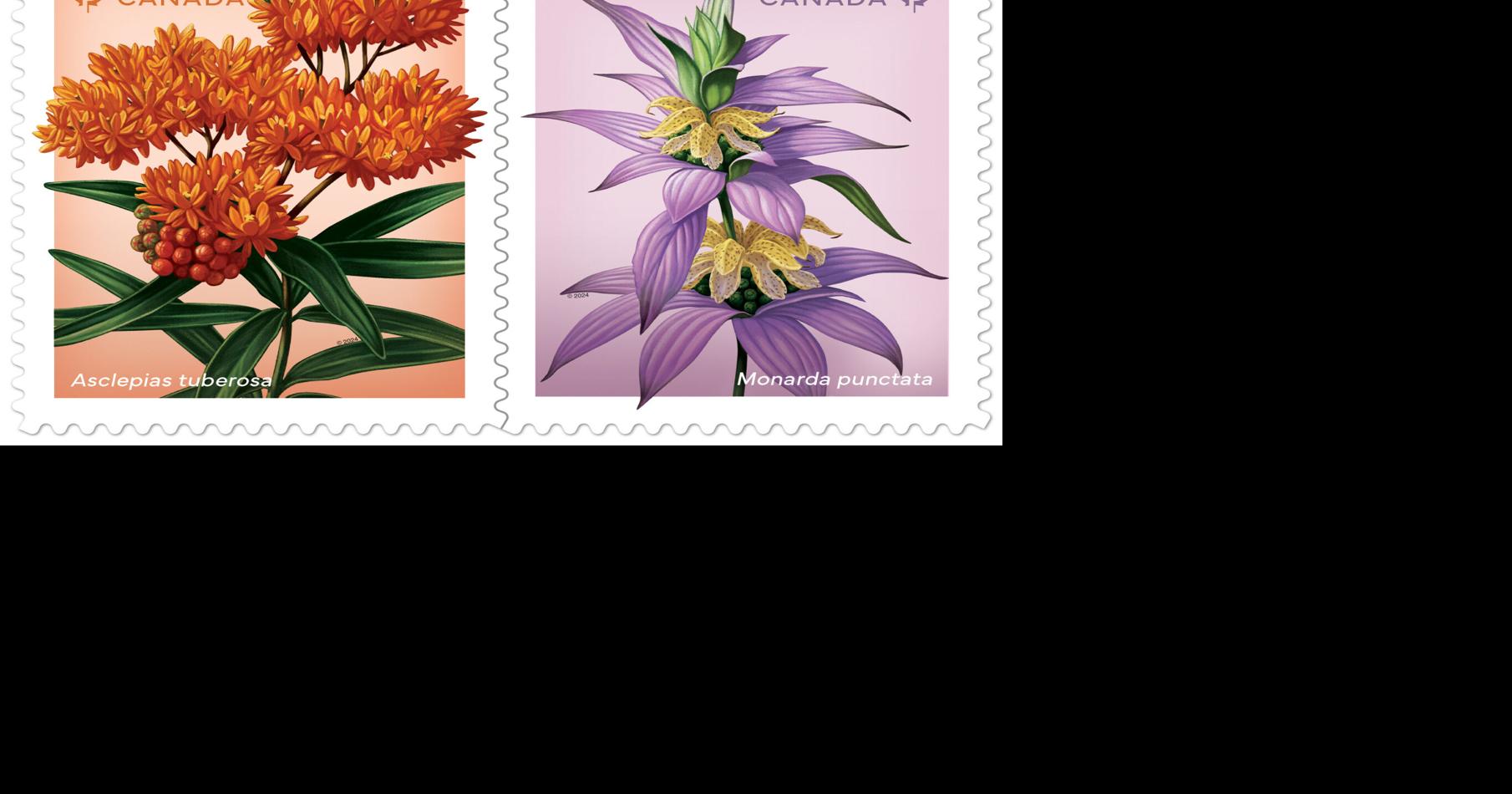 L'émission annuelle de timbres floraux illustre des fleurs sauvages ...