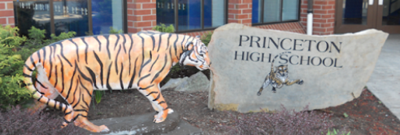 This week's preps: Princeton volleyball finally begins its 2020 season ...