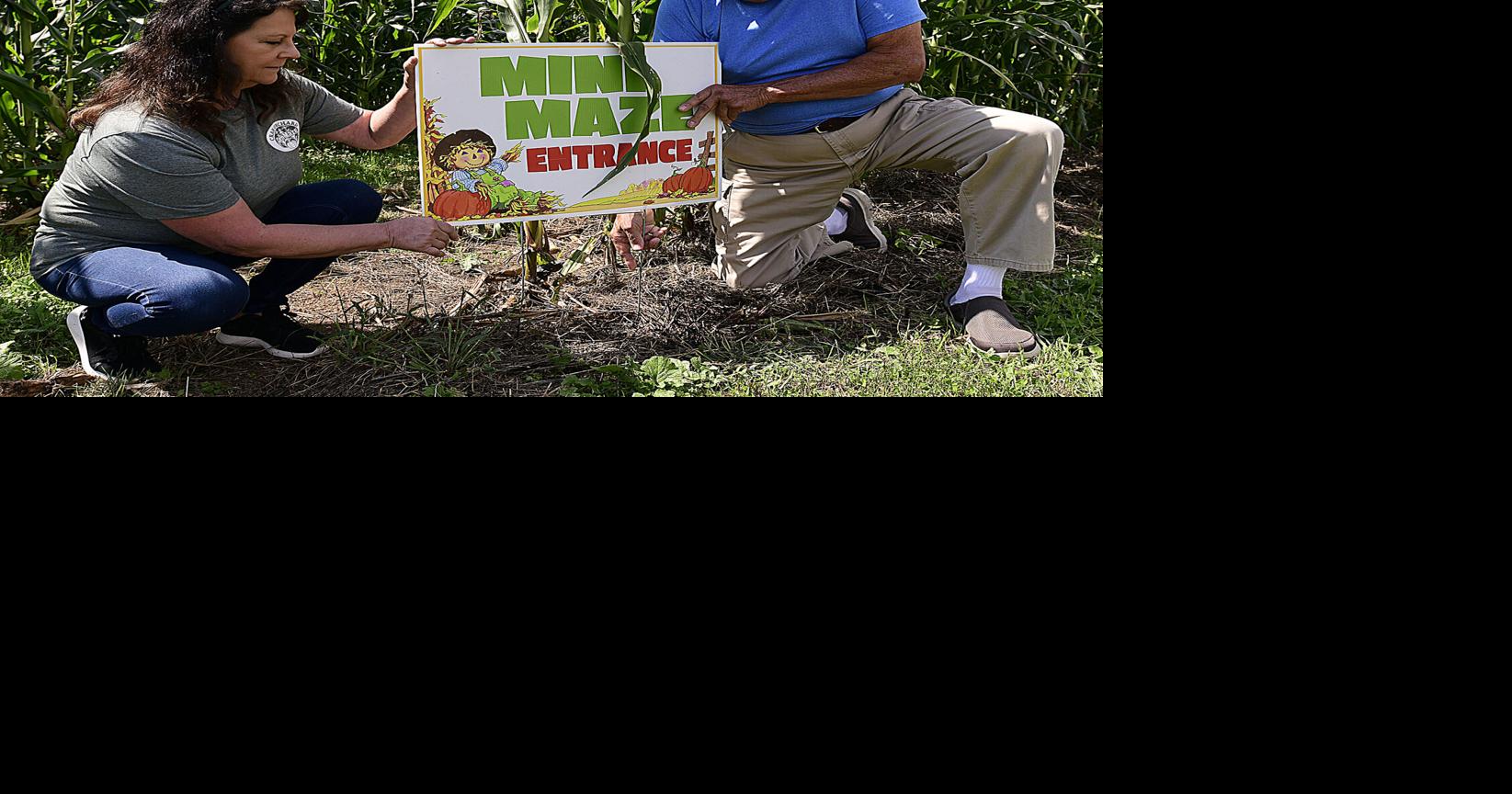 Corn maze open for visitors | News | bdtonline.com