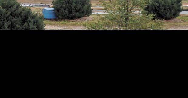 Higginbotham House Museum fire: Several artifacts unscathed | Local ...